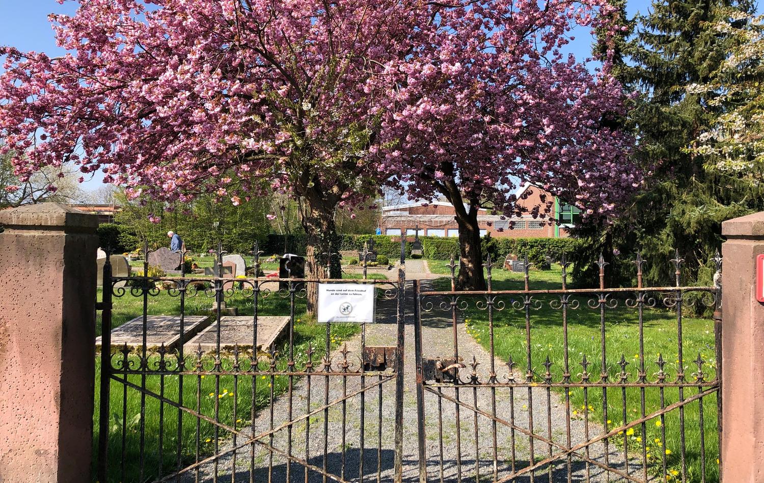 Bedarfe - Restaurierung des Friedhofstores in Hohenhameln - Heimatherzen.de